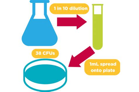 What Is Cfu Synoptics