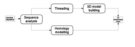 Schematic Representation Of The Structure Prediction Pipeline Download Scientific Diagram