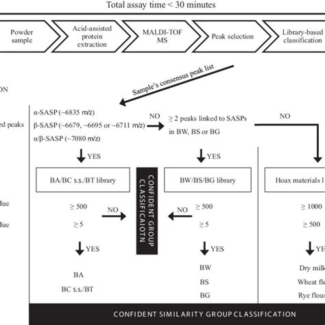 Flow Chart Summary Of The Proposed Maldi Tof Ms Based Classification Download Scientific