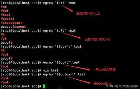 正则表达式详解与应用实例 Csdn博客 正则表达式详解与应用实例 Csdn博客