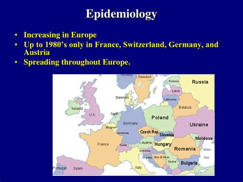 Ppt Echinococcus Granulosus Powerpoint Presentation Free Download