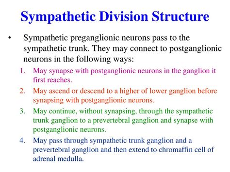 Autonomic Nervous System Ppt Download