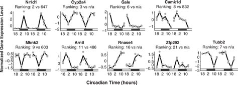 figure 1 from bayesian detection of non sinusoidal periodic patterns in