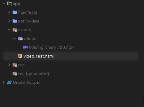Android Video Not Playing From Local File In Webview Stack Overflow