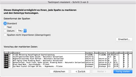 CSV In Excel Importieren