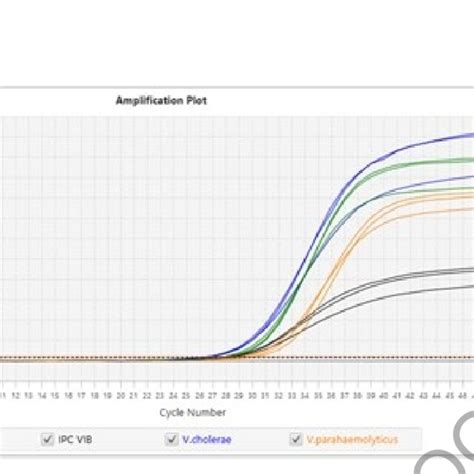 Multiplex Study Combination 5 Amplification Plot 101x62mm 96 X 96