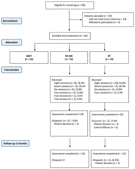 Flowchart Of Participants In The Pilot Randomized Controlled Trial