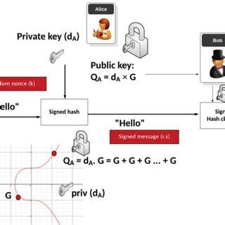 Average Execution Time To Crack ECDSA Seconds Download Scientific Diagram