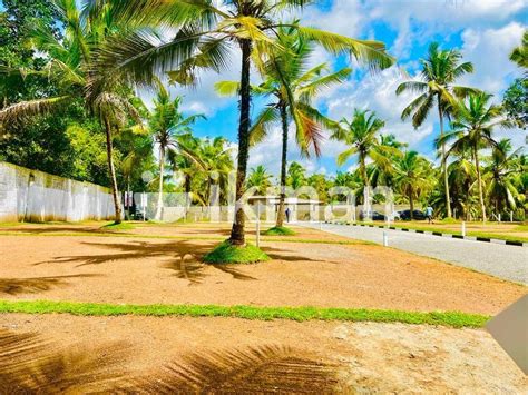 යක්කල වැදගත් පරිසරයක පදිංචි වෙන්න Ikman