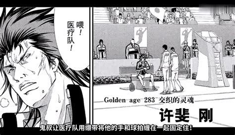 新网球王子第二季：从完美走向终极！ 娱乐视频 免费在线观看 爱奇艺