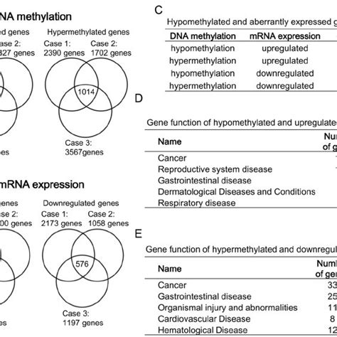 Aberrantly Methylated And Expressed Genes Contained In Cancer Process