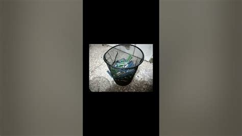 Programming Memes 194 Programming Programmingmemes Memes Coding