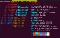 The Neofetch Command In Linux Practical Examples