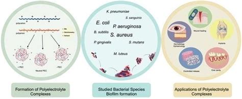 Polyelectrolytes And Polyelectrolyte Complexes As Future Antibacterial
