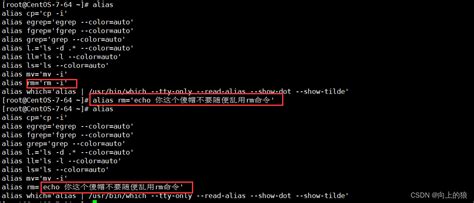 Linux中bash详解 Csdn博客