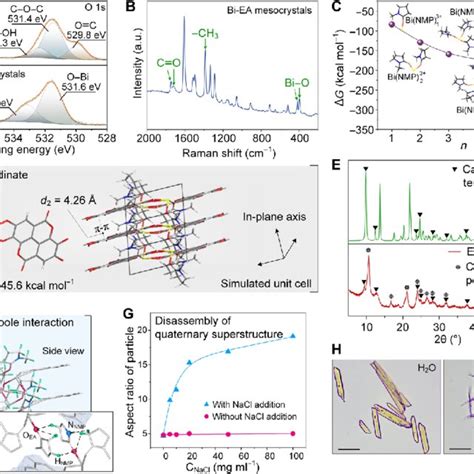 structural analysis of the multiscale structures in the bi ea