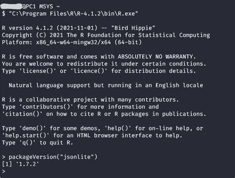 Constantly Getting The Failed To Get List Of R Functions Error Issue REditorSupport
