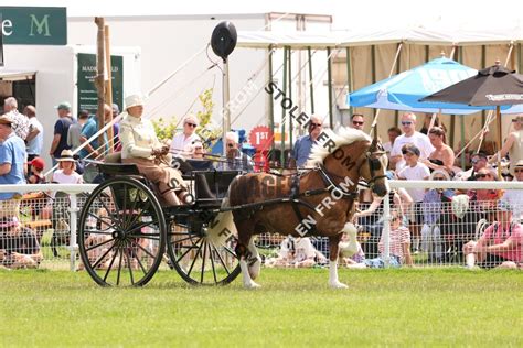 S486615 2025 1st Class Images