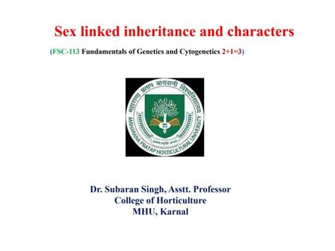 Sex Influenced Traits Ppt