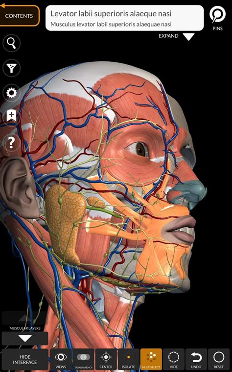 Anatomy 3d Atlas