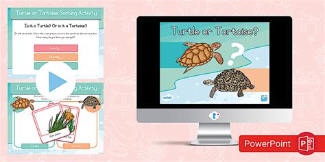 Comparing Turtles And Tortoises Teacher Made Twinkl