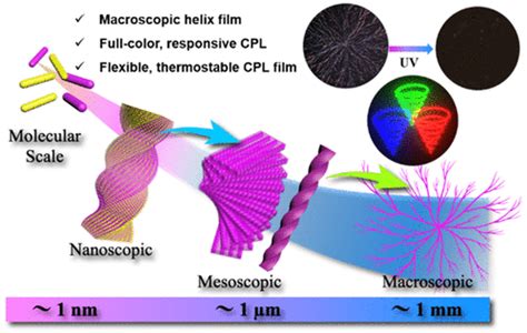 Full Color And Switchable Circularly Polarized Light From A Macroscopic Chiral Dendritic Film