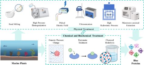 Methods For Extracting Proteins From Plants And Algae Download