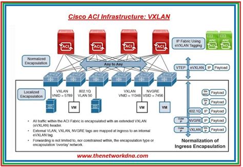 Understanding The Physical Requirements Of A Cisco Aci Solution The