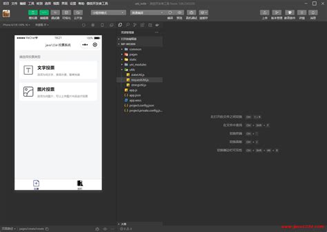 【免费】微信小程序投票系统 uni app springboot vue3 【java毕业设计】下载 java知识分享网 免费java资源下载