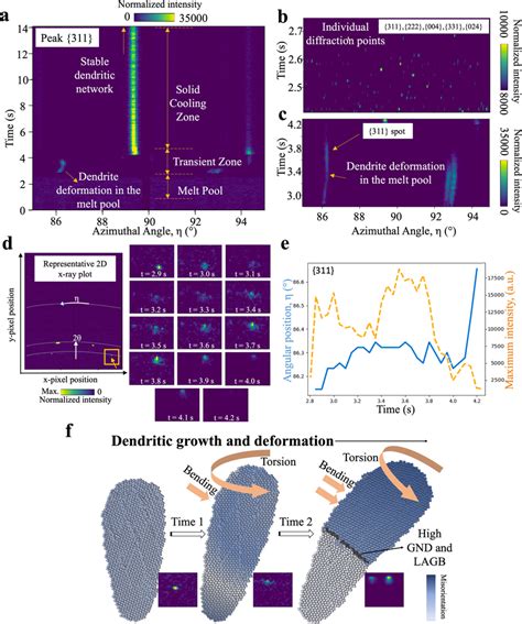 Deformation Modes In Growing Dendrites During Solidification A