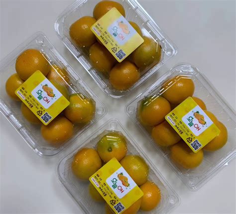 군대 후임이 챗봇2025 잘 보고있다며 응원의 마음으로 보내준 귤 ㅎㅎ 오늘애 제주도 하우스 감귤 박스 안전 포장도 잘되어있고 귤도 하나씩 도시락 처럼