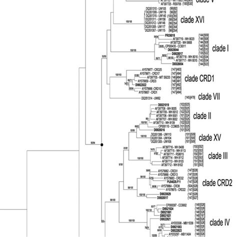 Distribution Of Prochlorococcus And Synechococcus Along The Eastern Download Scientific Diagram