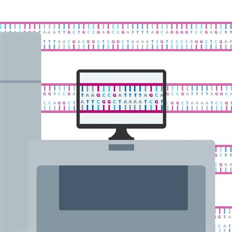 Whole Genome Sequencing From Sample To Report Genomics Education Programme