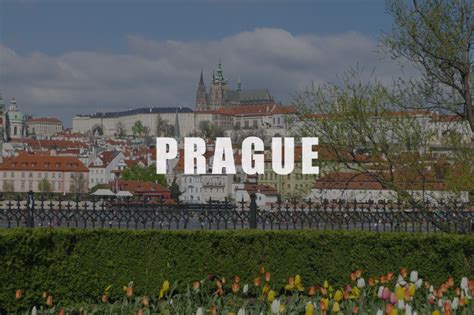 체코 프라하 여행 코스 스트라호프 수도원 프라하성 스타벅스 프라하성 투어 네이버 블로그