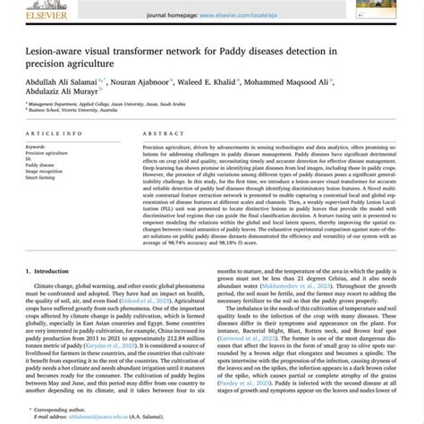 Lesion Aware Visual Transformer Network For Paddy Diseases Detection In