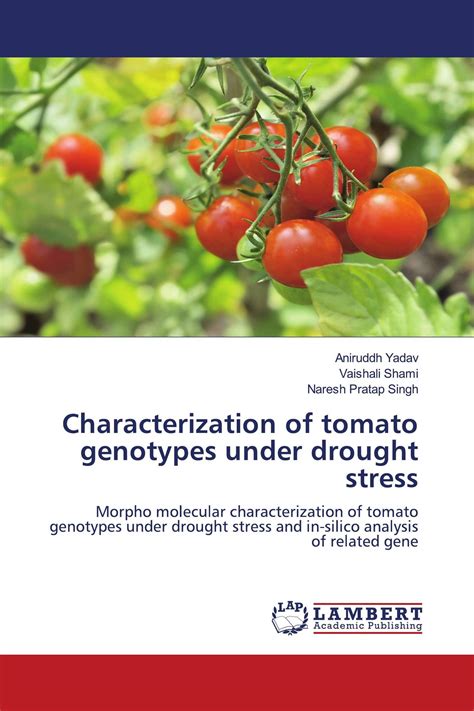 Characterization Of Tomato Genotypes Under Drought Stress 978 620 6 14216 4 9786206142164