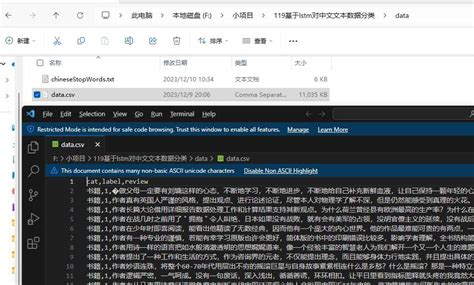 119基于lstm对中文文本数据分类 Csdn博客