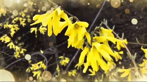 이른 아침640 방송 촬영 가던 중 잠시 멈춰선 상암동 하늘공원 풍경 Youtube