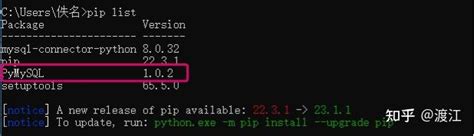 Python Java Mysql