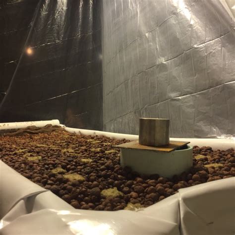 Smart Aquaponics System