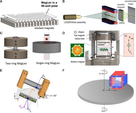 Magnetic Levitation Diagram