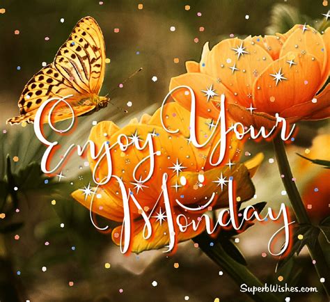 Beautiful Happy Monday Images With Wishes & Quotes And Messages