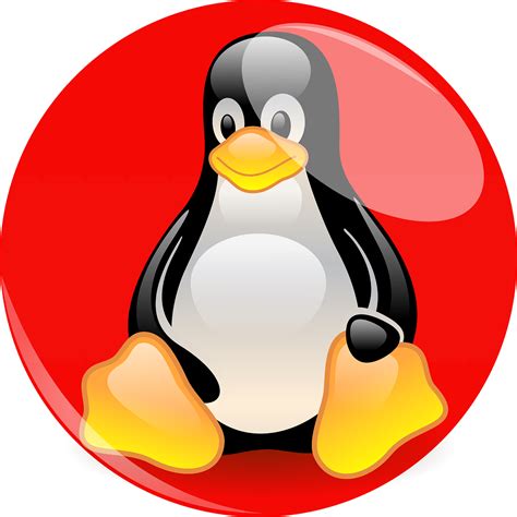 Linux Penguin Logo