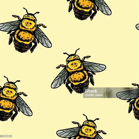 귀여운 만화 꿀벌 낙서 원활한 테두리 패턴 여름 곤충 벡터 반복 가능한 배경 텍스처 타일 포장용 디자인 벽지를위한 재고 인쇄의 아늑한 템플릿 벌에 대한 스톡 벡터 아트 및