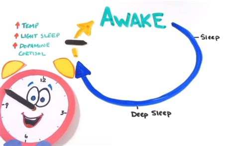 Snooze Button Funny Quotes QuotesGram