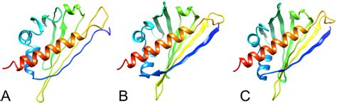 final 3d structural models of uncharacterized protein loc110648447