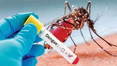 Sri Lanka On The Brink Of Dengue Hyper Epidemic Breaking News Daily