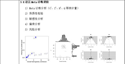 R语言的meta分析【全流程、不确定性分析】方法与meta机器学习技术应用 Csdn博客