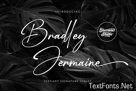 Bradley Jermaine Elegant Signature Script Font