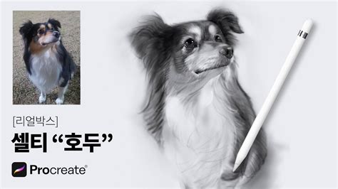 [리얼박스] 셀티 호두 아이패드 프로크리에이트 강아지 그리기 Youtube